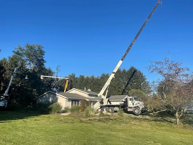 Photos — Scotts Tree Experts LLC