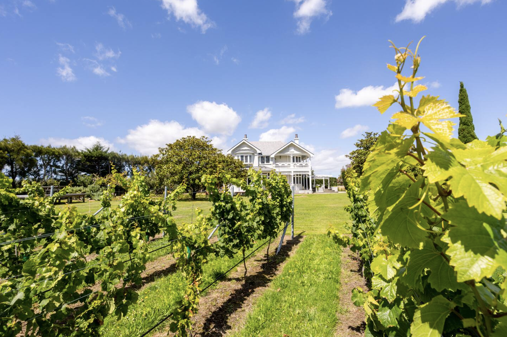 Martinborough reading retreat - February 2026 — Busy with Books