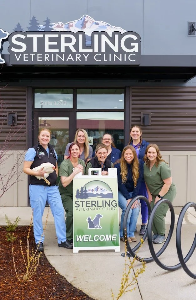 Sterling Veterinary Clinic