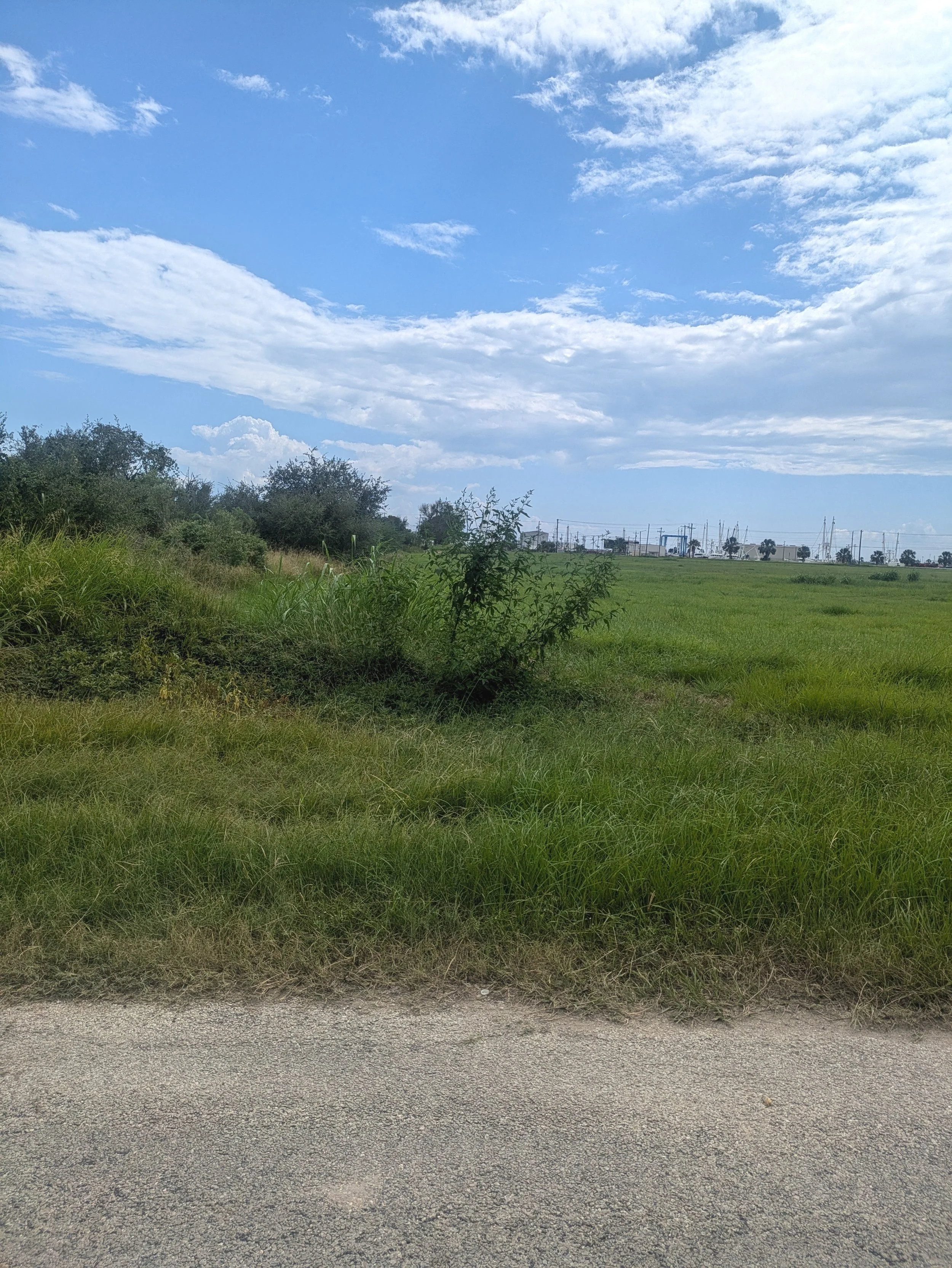 BAY AREA PAWSITIVE SUPPORT