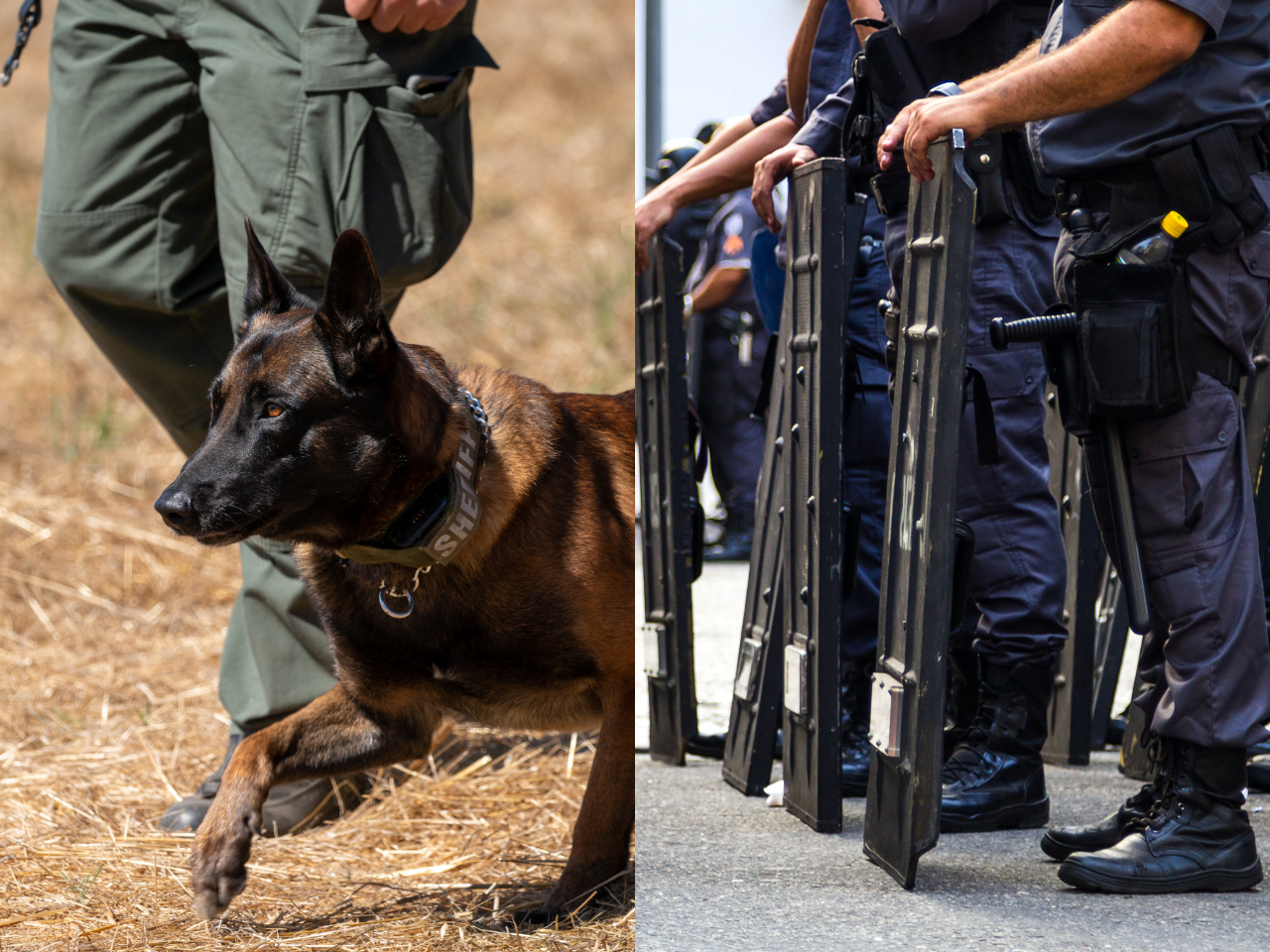 Special Operations Security | Arcangel High-Risk Solutions