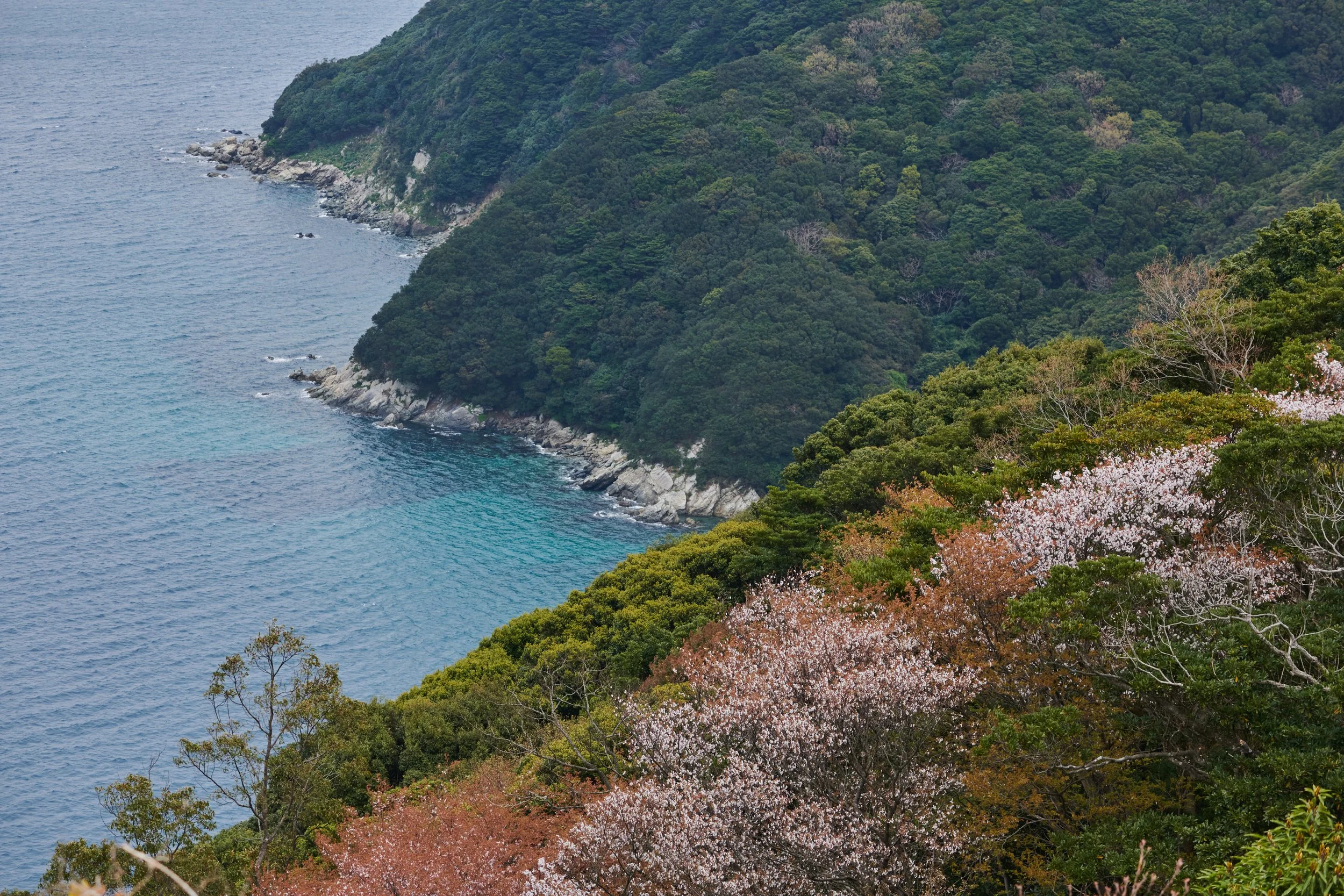 Saiki Minsai Japanese Language School