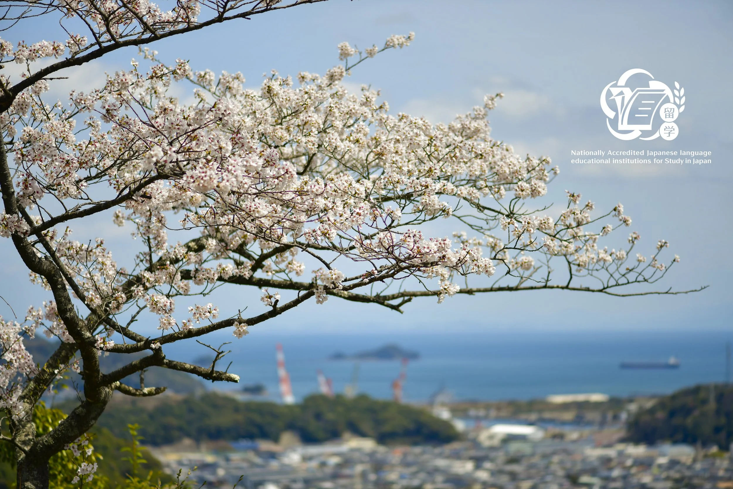Saiki Minsai Japanese Language School