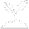 Growing Statice Flowers for Fresh and Dried Bouquets | Zone 5 Guide ...