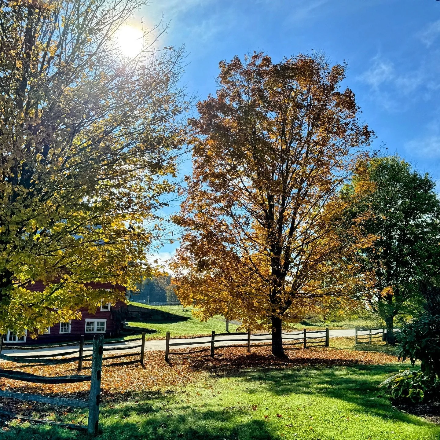 Hollister Hill Farm