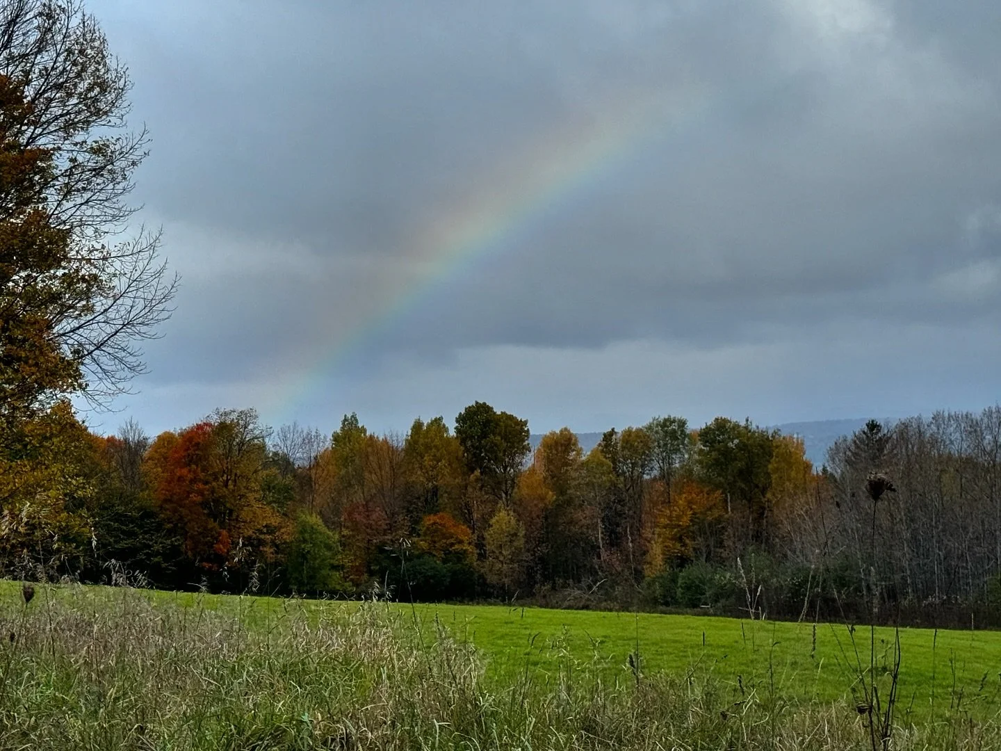 Hollister Hill Farm
