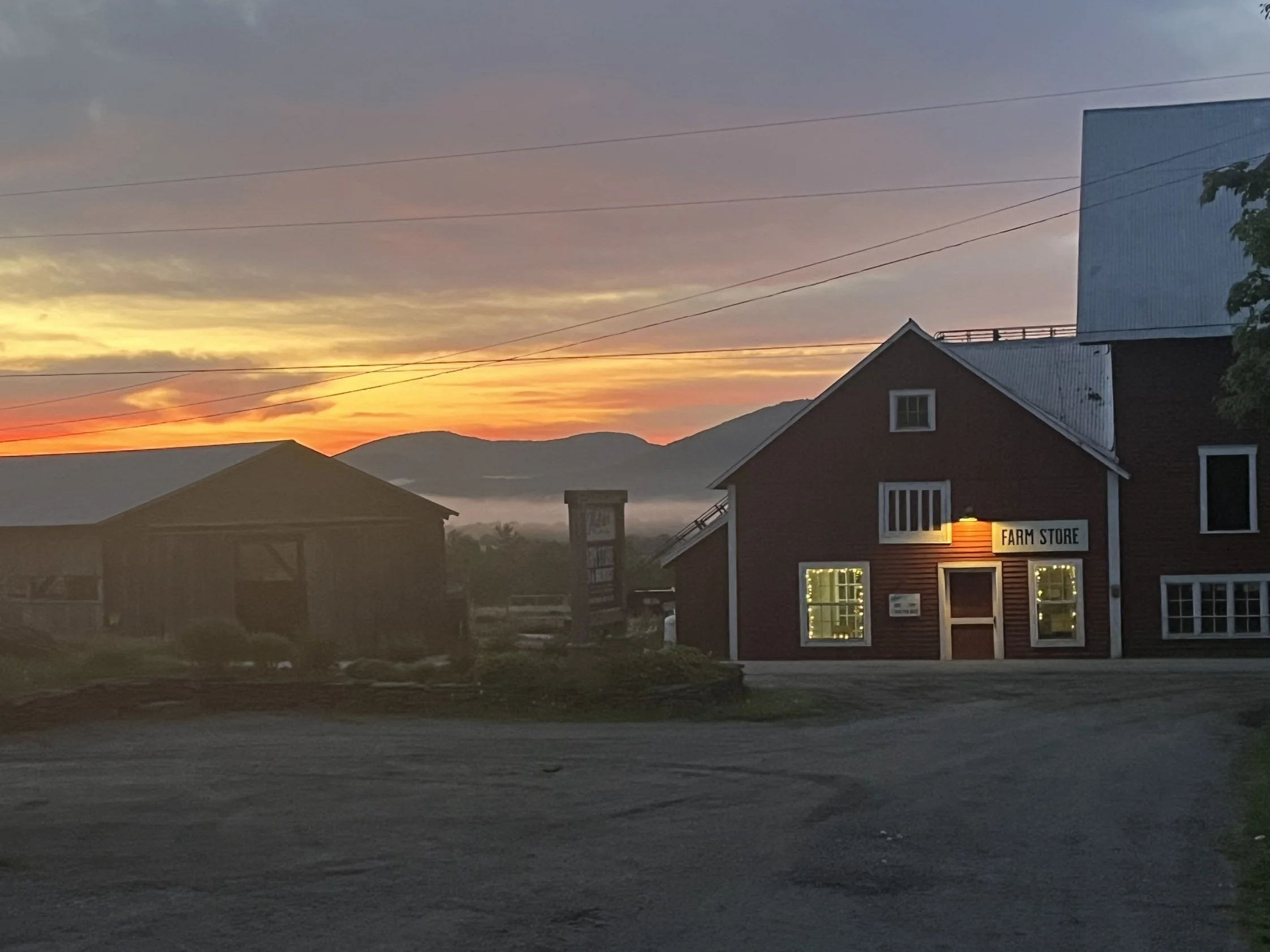 Hollister Hill Farm