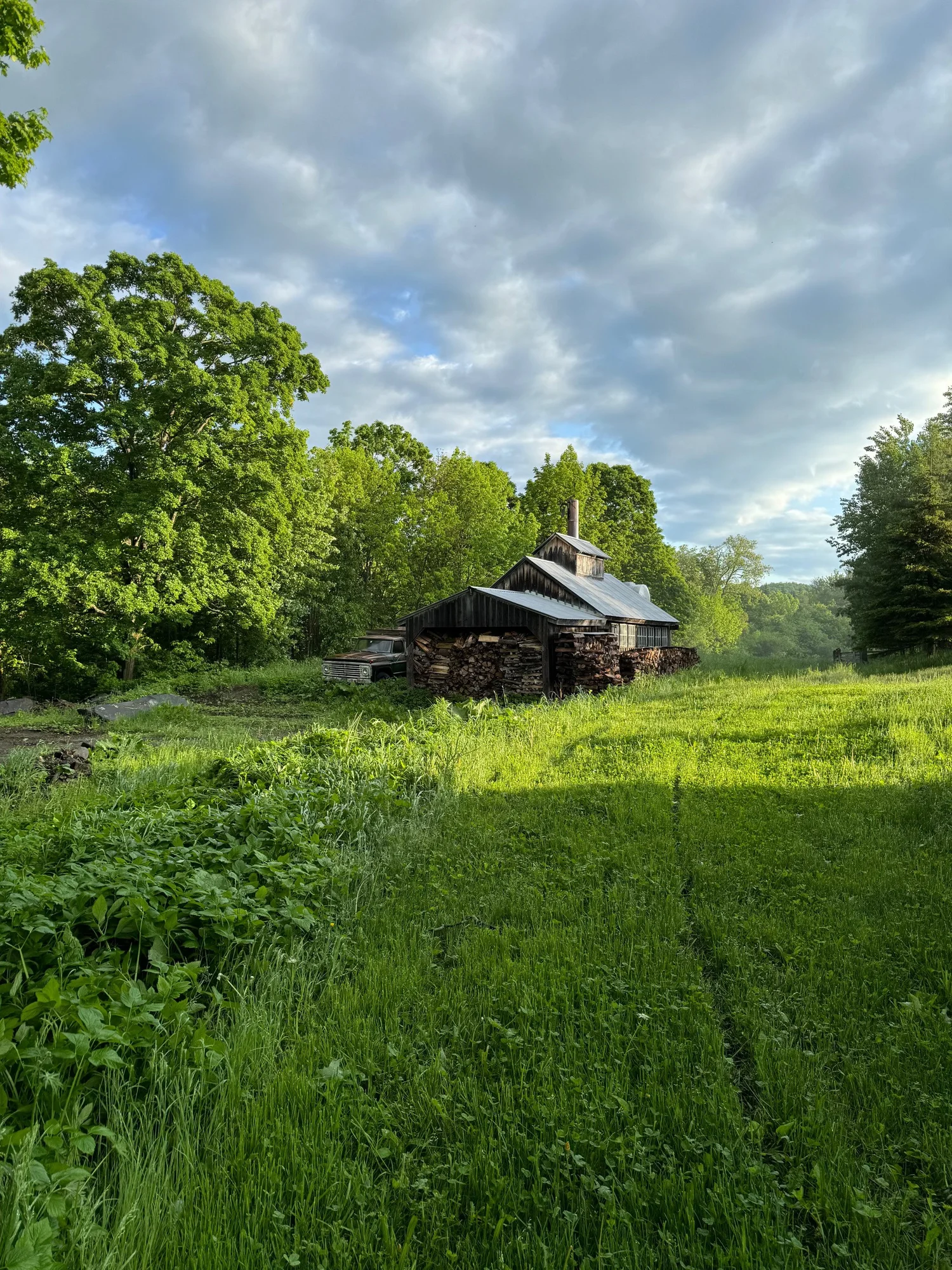 Hollister Hill Farm