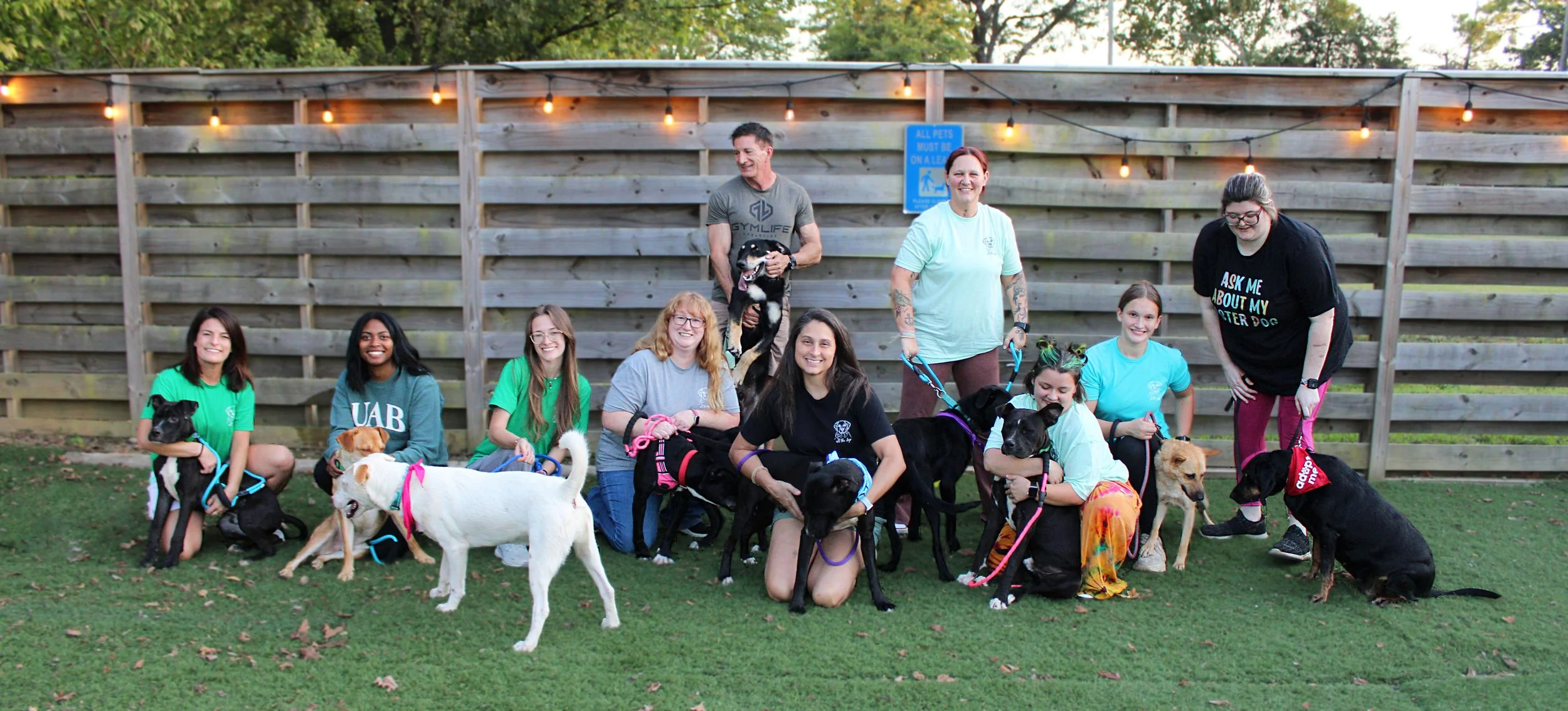 All The Dogs Alabama