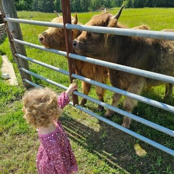 Jim Fuller Farm | Farm-Fresh Beef | Hay | Ellerslie, GA