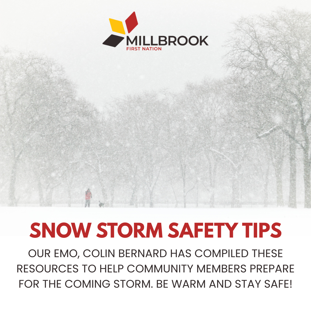 Snow Storm Safety Tips — Millbrook FN