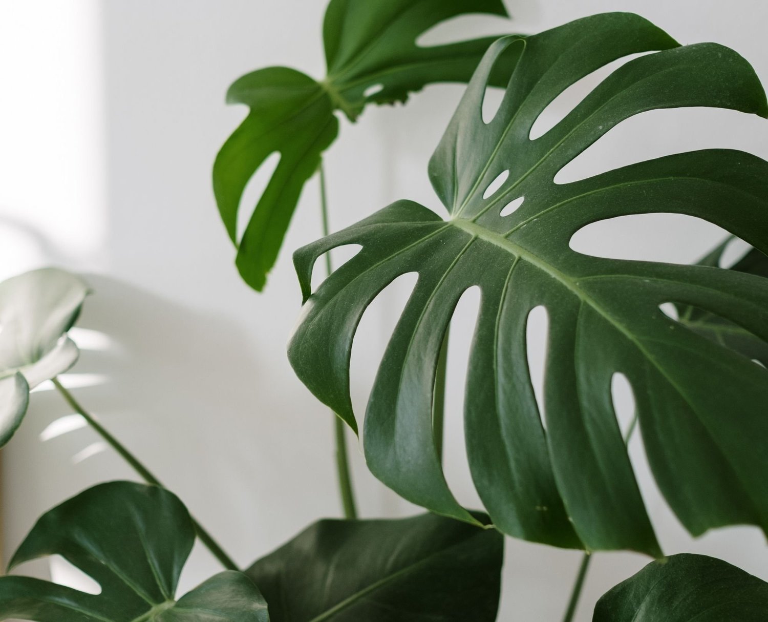 Parts Work Therapy: Healing From Within