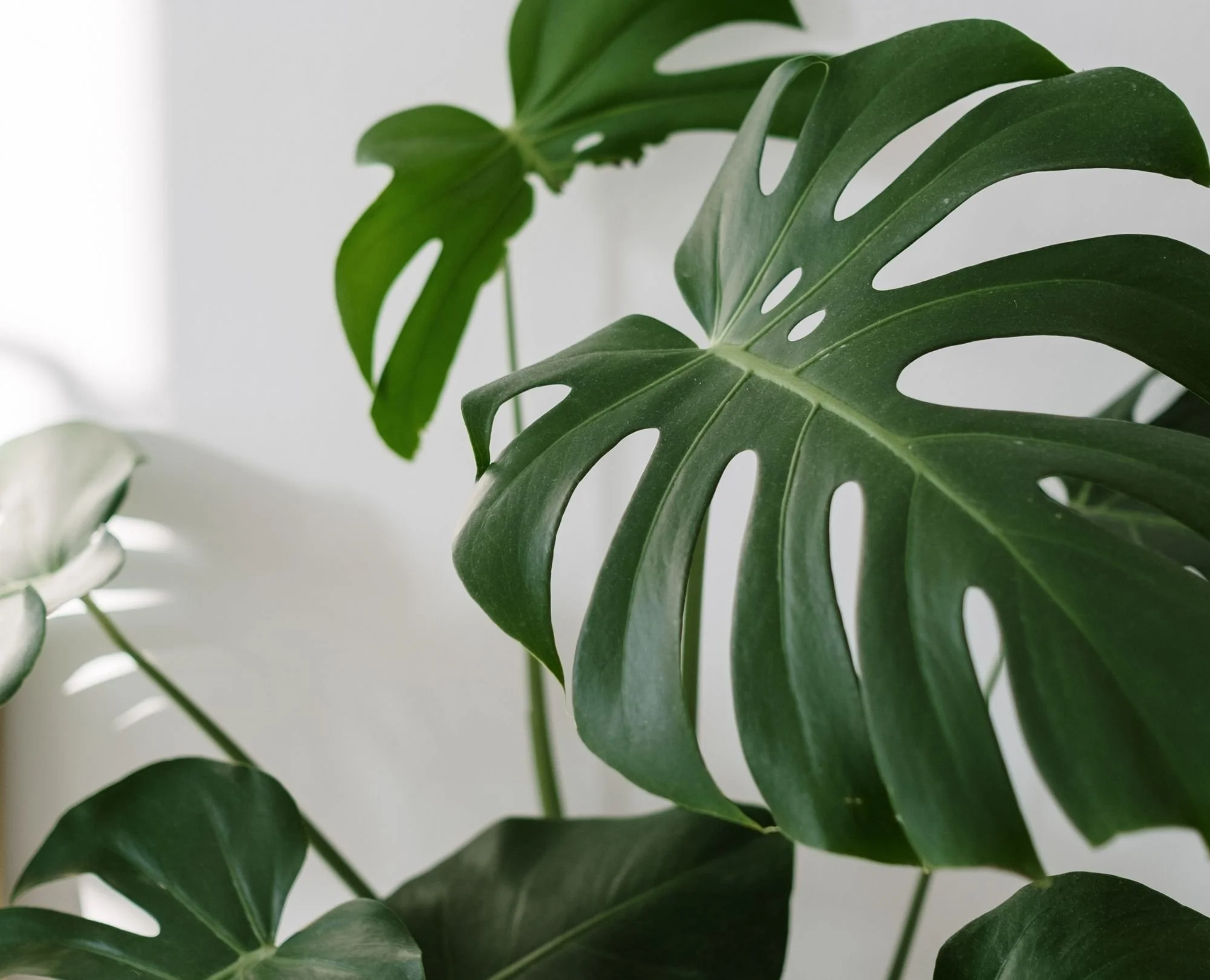 Parts Work Therapy: Healing From Within
