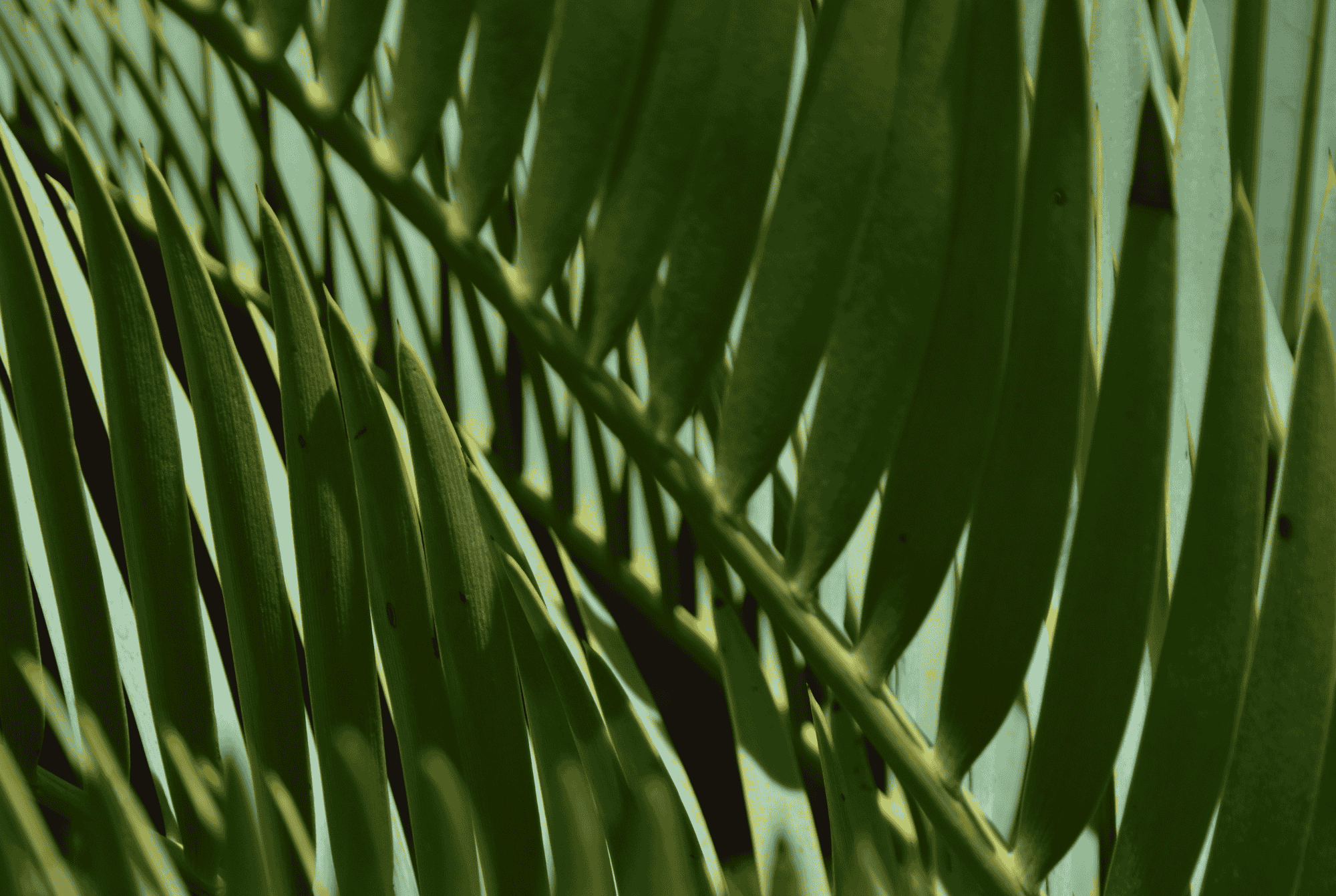 Parts Work Therapy: Healing From Within