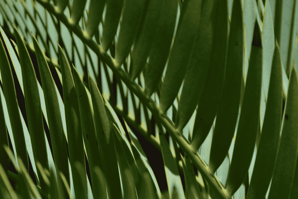 Parts Work Therapy: Healing From Within