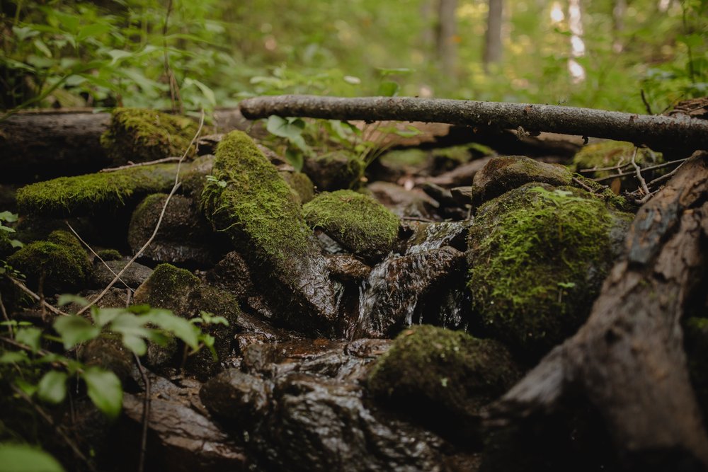 Long Branch Environmental Education Center