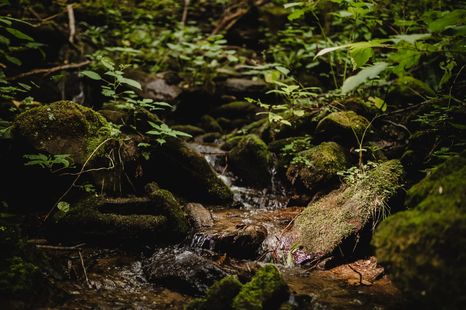 Long Branch Environmental Education Center