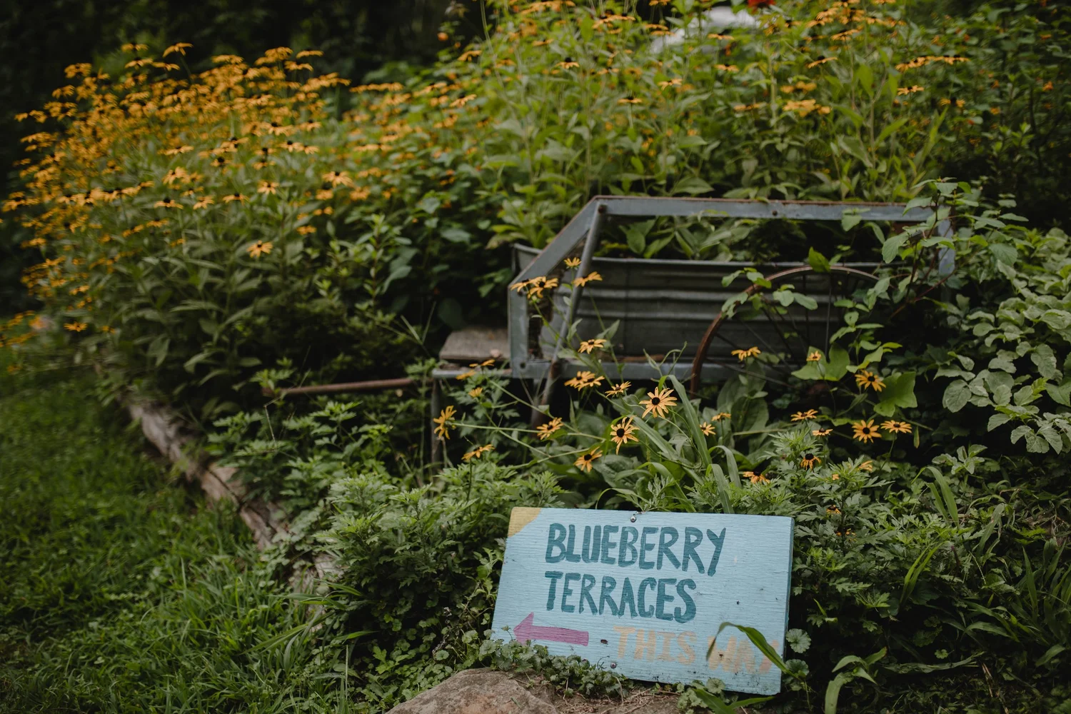 Long Branch Environmental Education Center