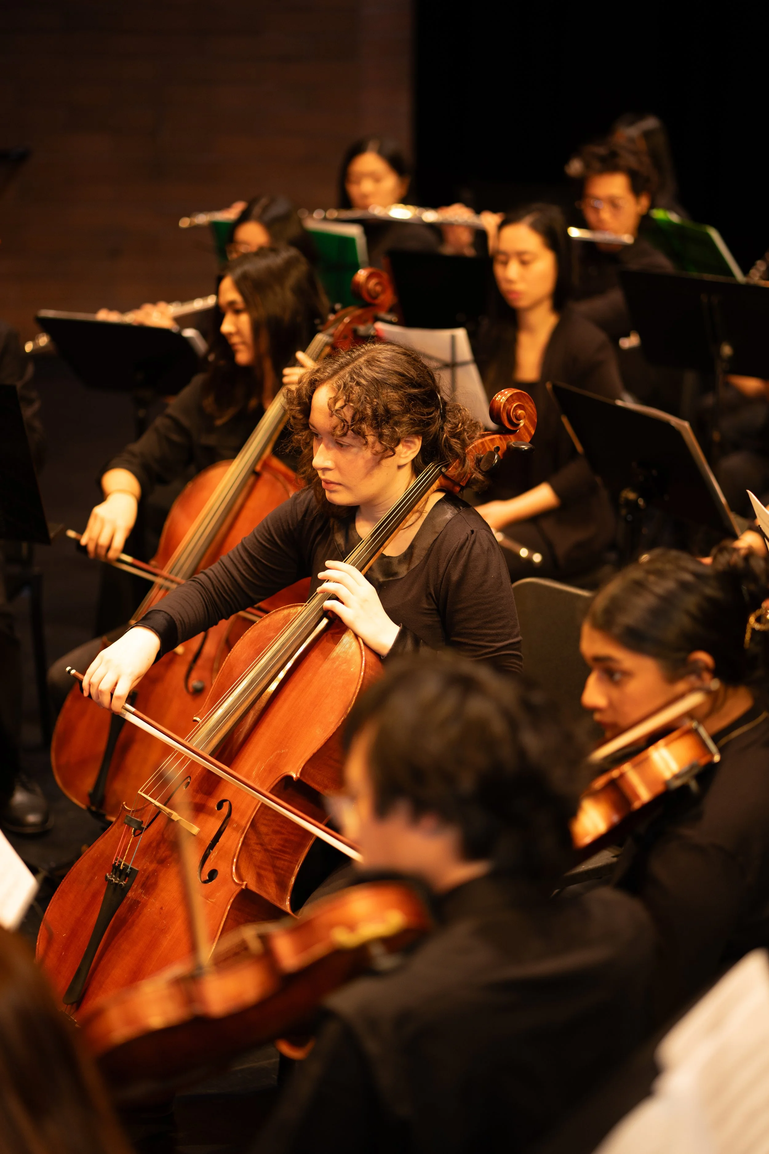 Photo Gallery — Redmond Tech Orchestra