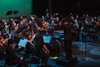 Donate — Redmond Tech Orchestra