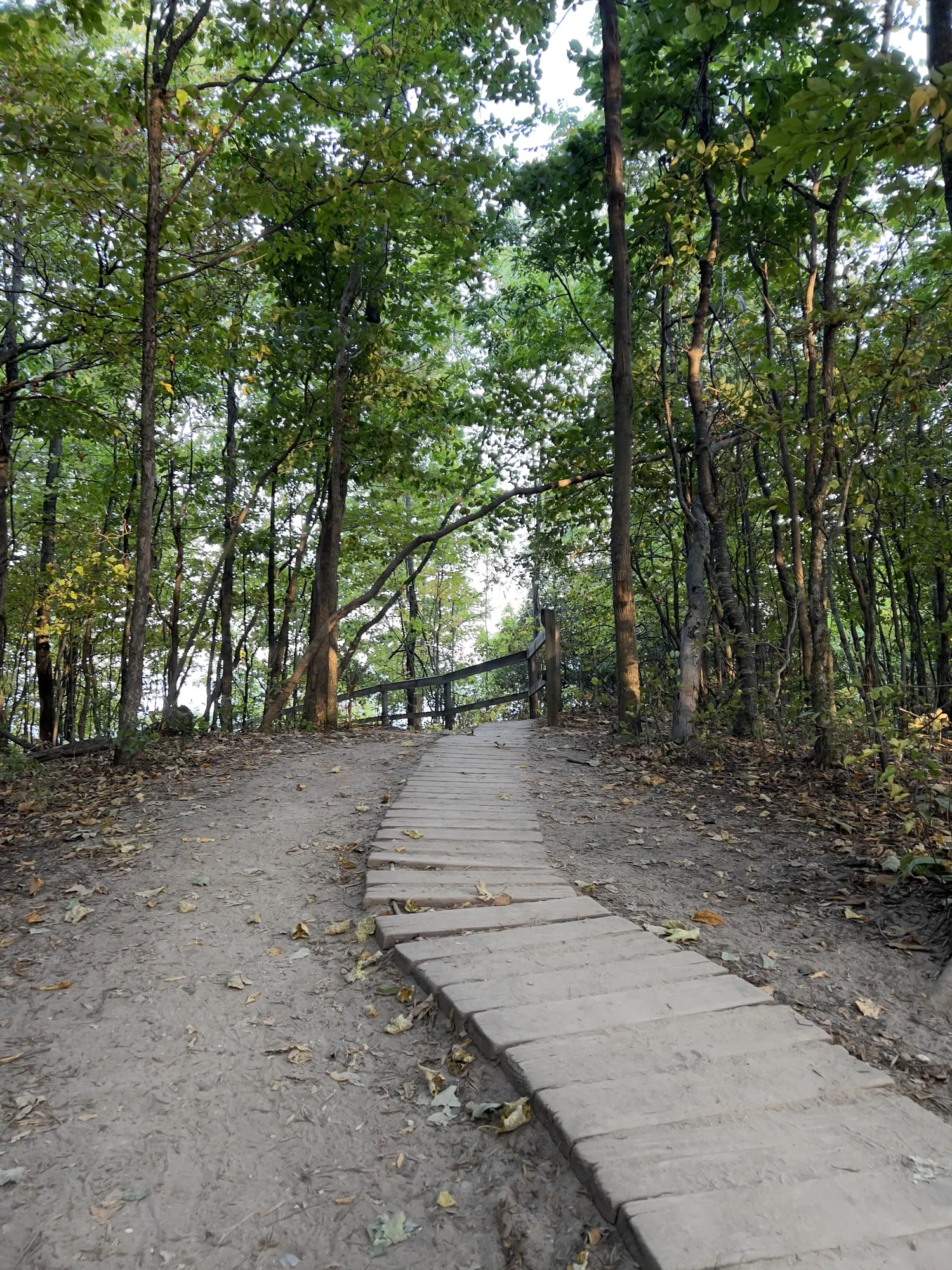 Empire Bluff Trail — Friends of Sleeping Bear Dunes