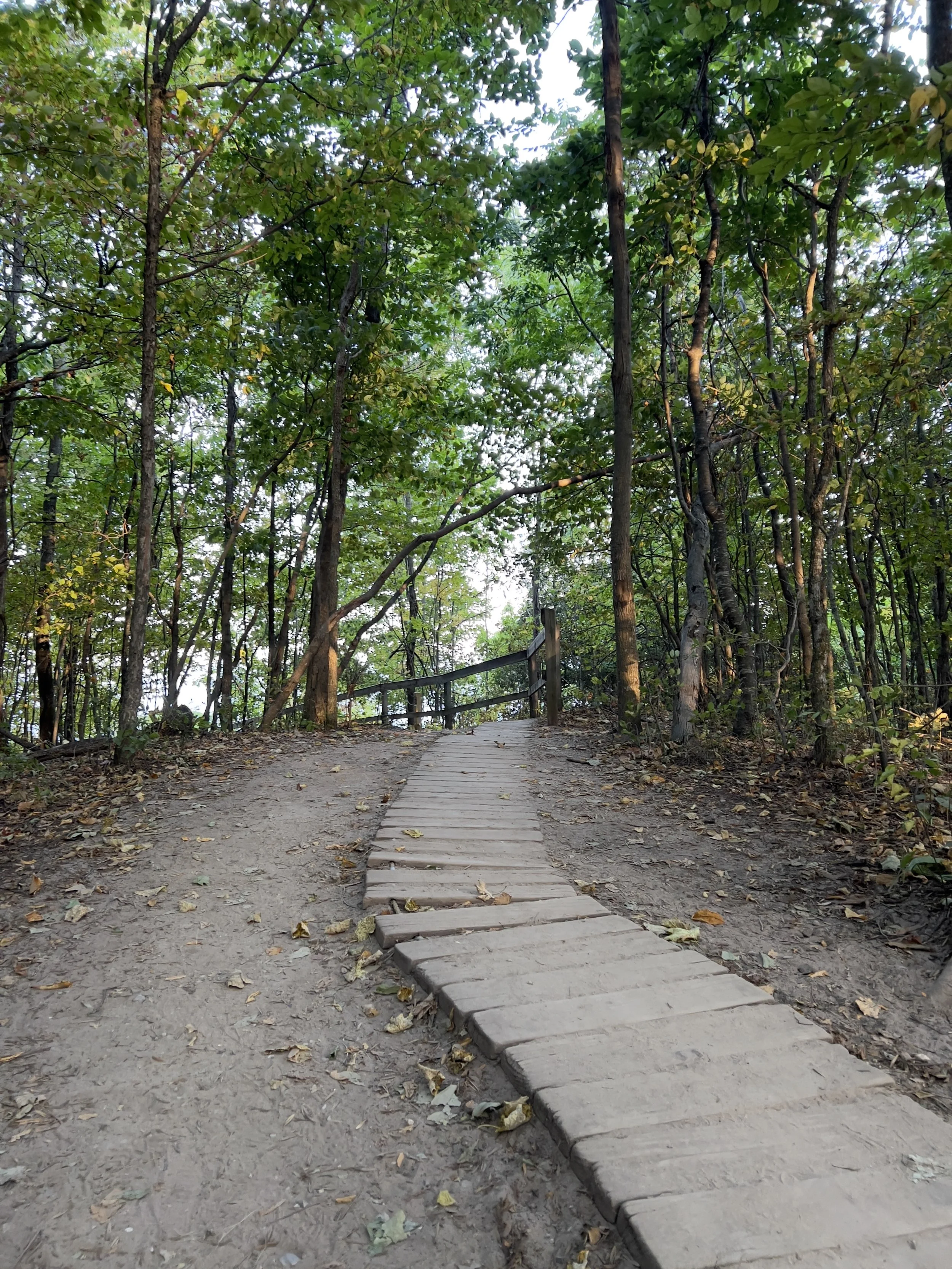Empire Bluff Trail — Friends of Sleeping Bear Dunes