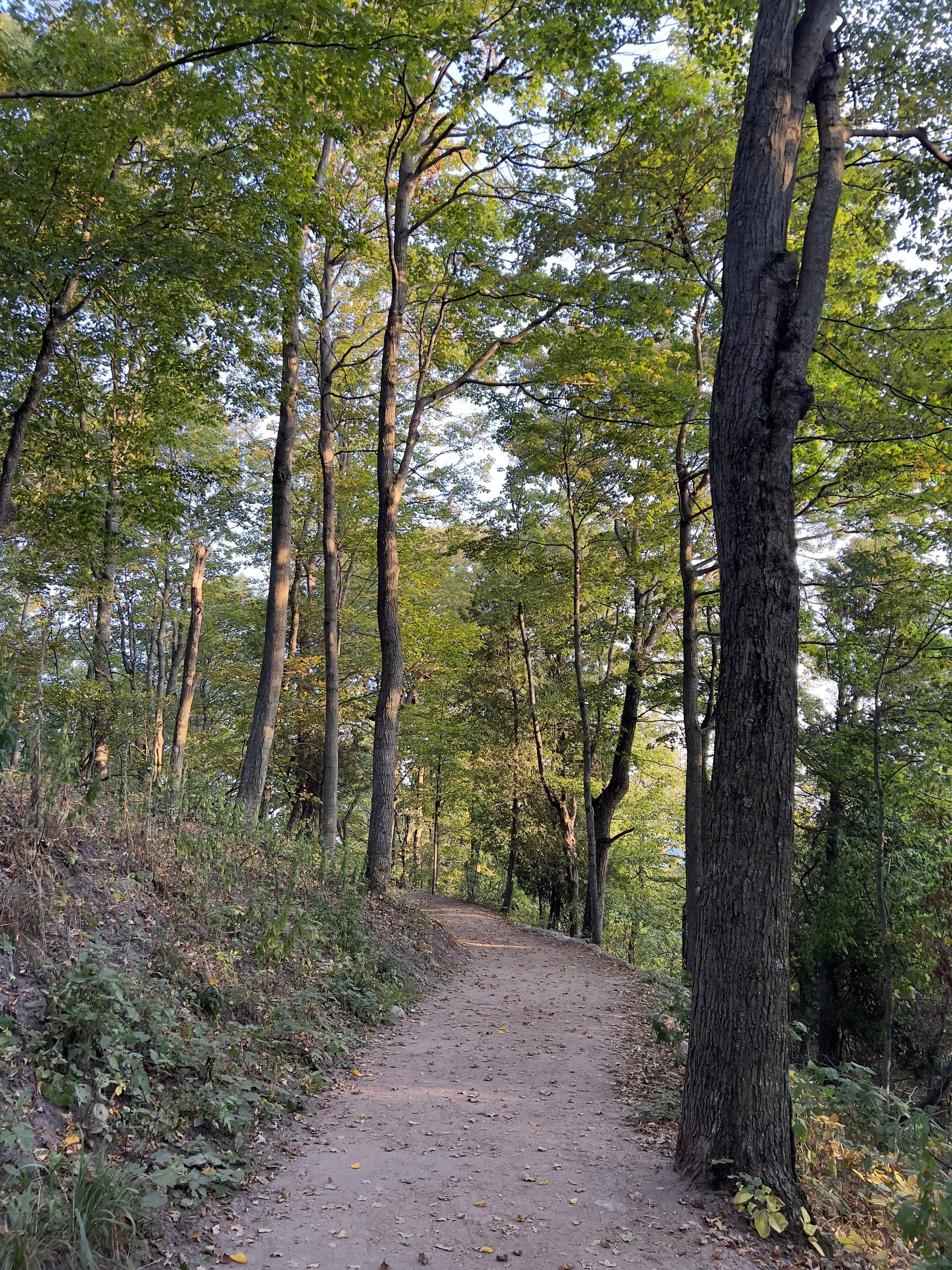 Empire Bluff Trail — Friends of Sleeping Bear Dunes
