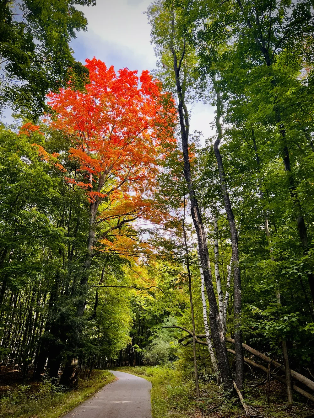 Sleeping Bear Heritage Trail — Friends of Sleeping Bear Dunes