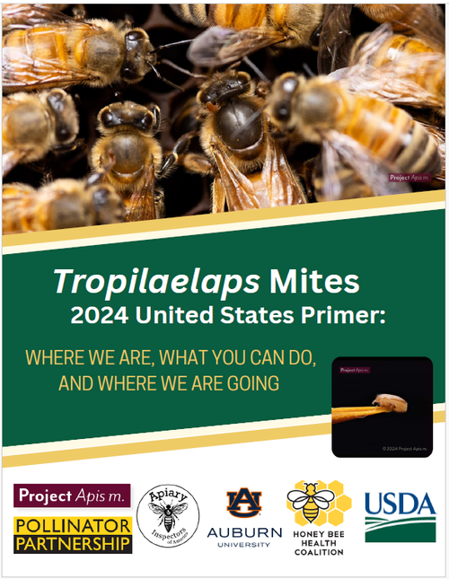 Resources — Honey Bee Pests