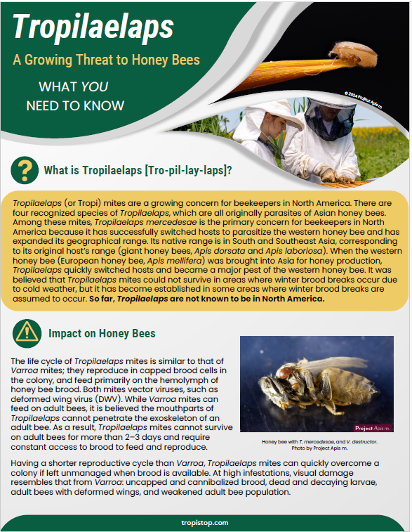 Resources — Honey Bee Pests
