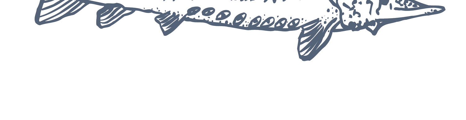 Admiral Caviar | Finest Osetra & Beluga in UAE