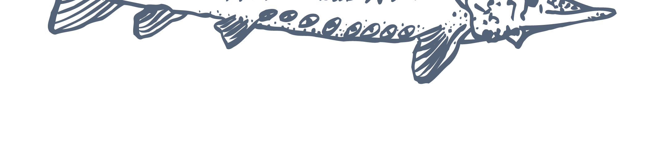 Admiral Caviar | Finest Osetra & Beluga in UAE