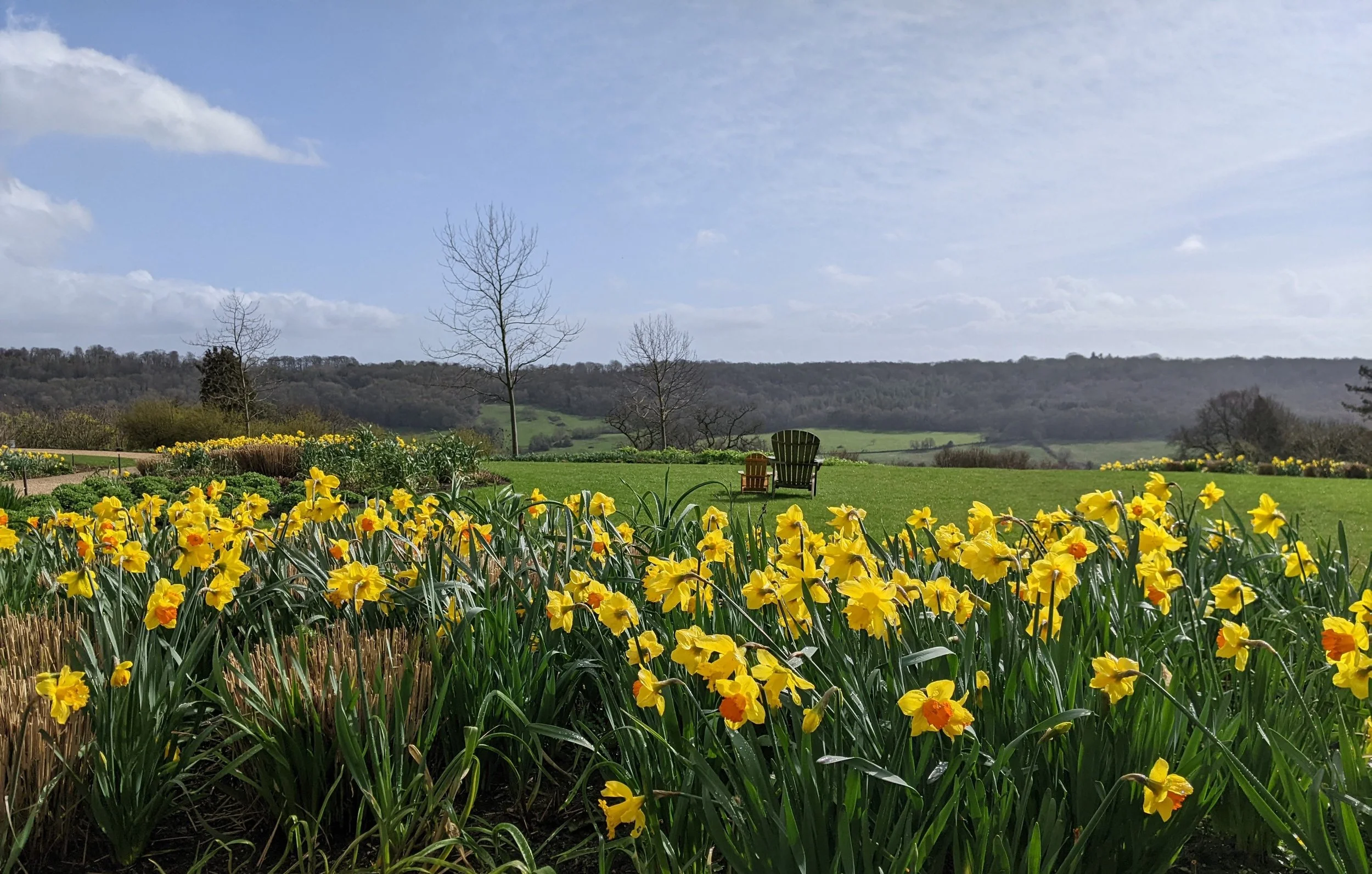 Daffodil Month — American Museum & Gardens