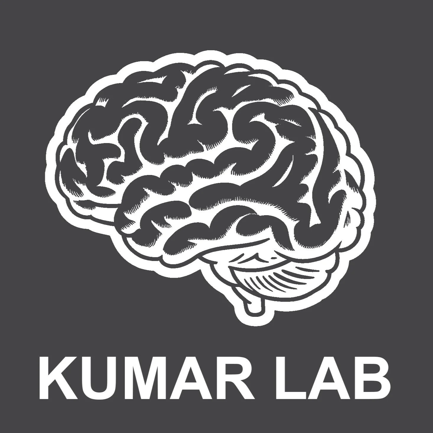 Kumar Lab @ UT Austin