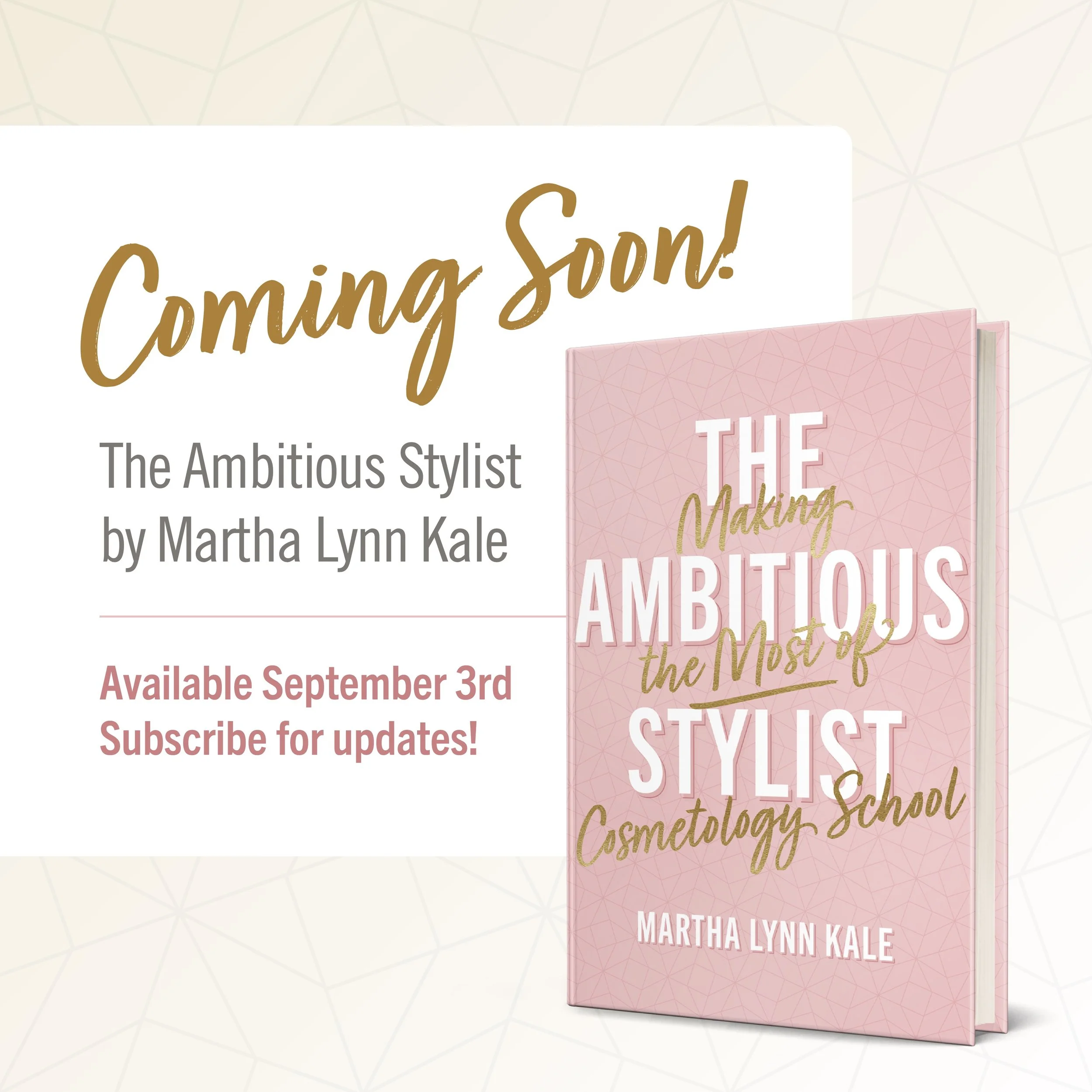 The Ambitious Stylist