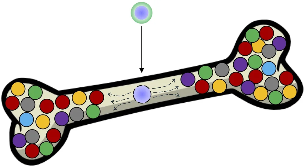 Research — Hojun Li Lab