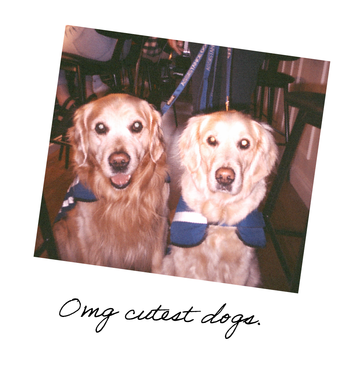 Nomy Bar & Kitchen | Launceston’s Vibrant Bar for Drinks & Dining