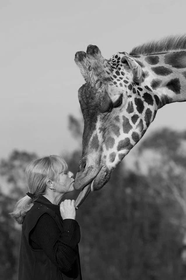 Our Story The Heart Behind ZAMBI Wildlife Retreat — Zambi Wildlife Retreat