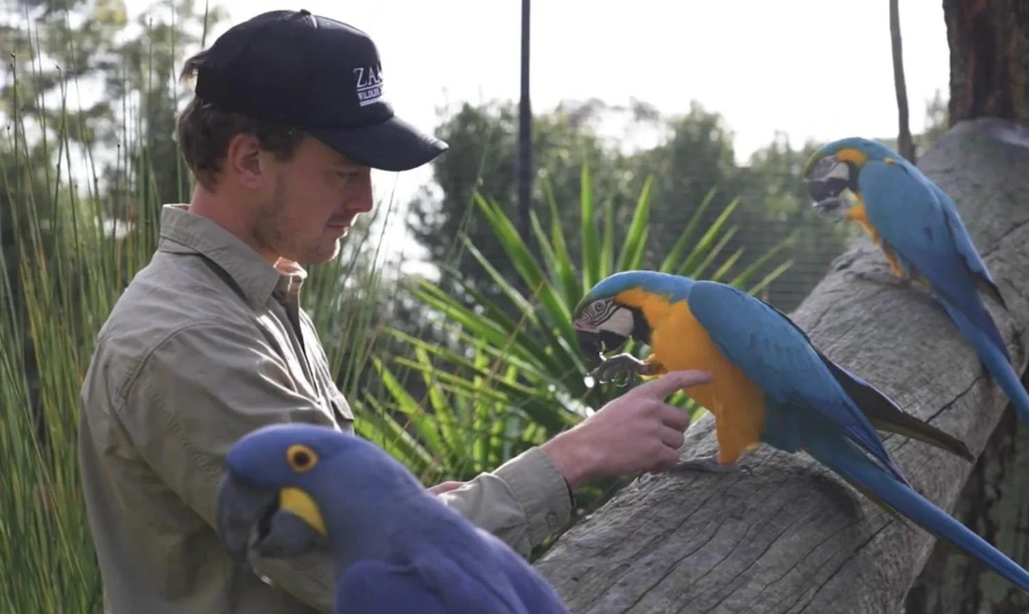 Mission Statement Ethical Wildlife Sanctuary ZAMBI Wildlife Retreat ...