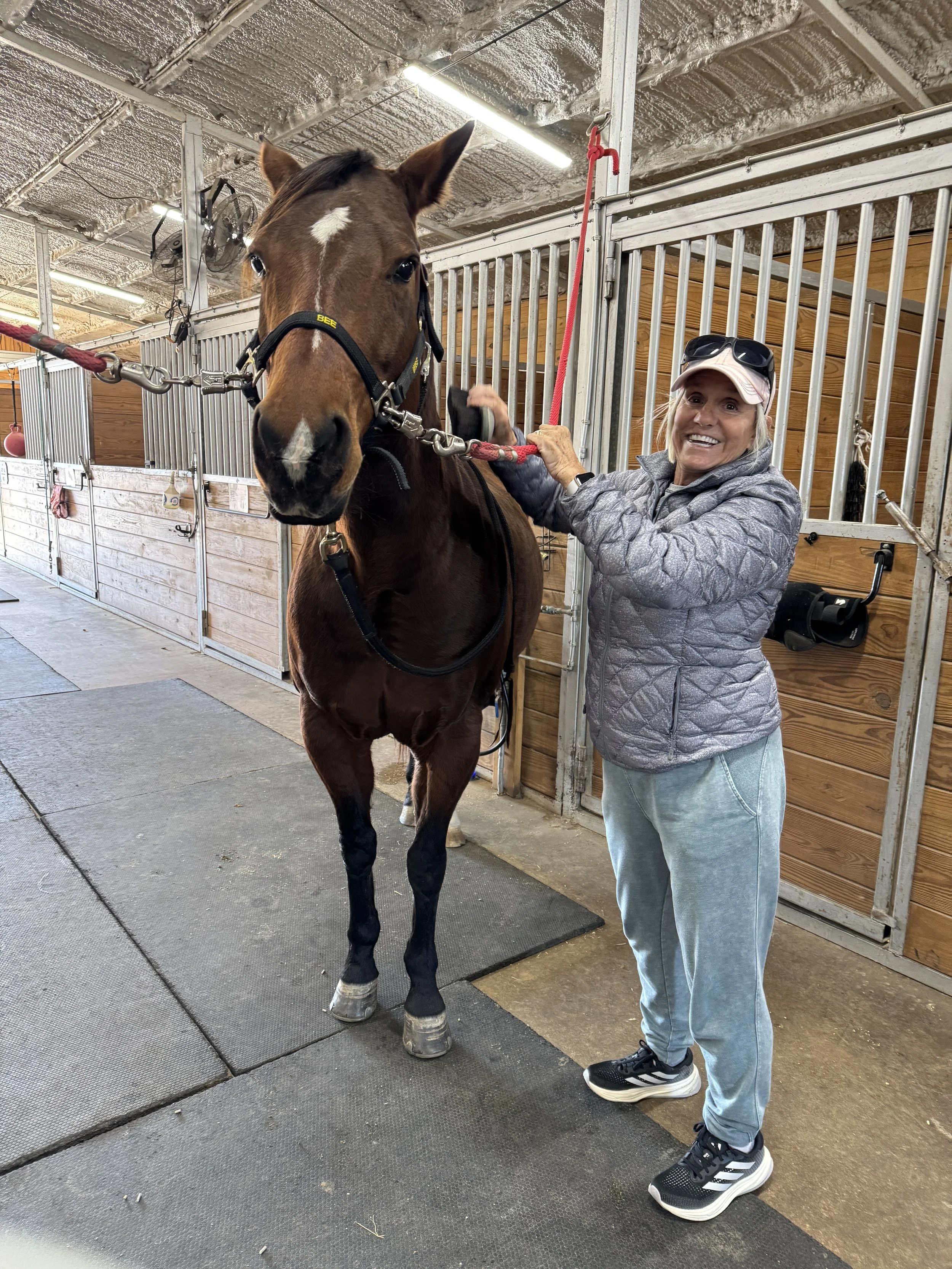 Weekly Buzz with Bee: Winter Care, Training, and Grit