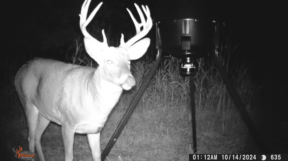 Gallery — WADE RANCH