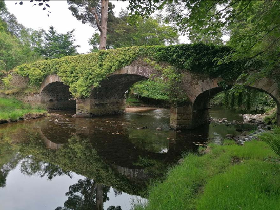 Avoca Catchment | Explore & Protect Now — East Wicklow Rivers Trust