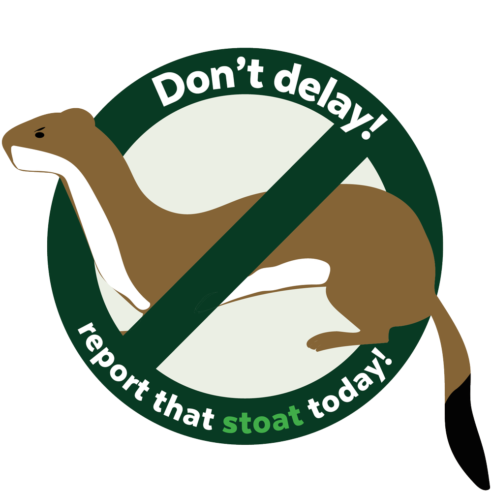 Why eradicate stoats? — Te Korowai o Waiheke