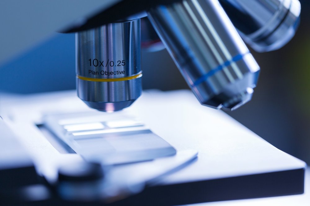 Portfolio — Opus Sierra