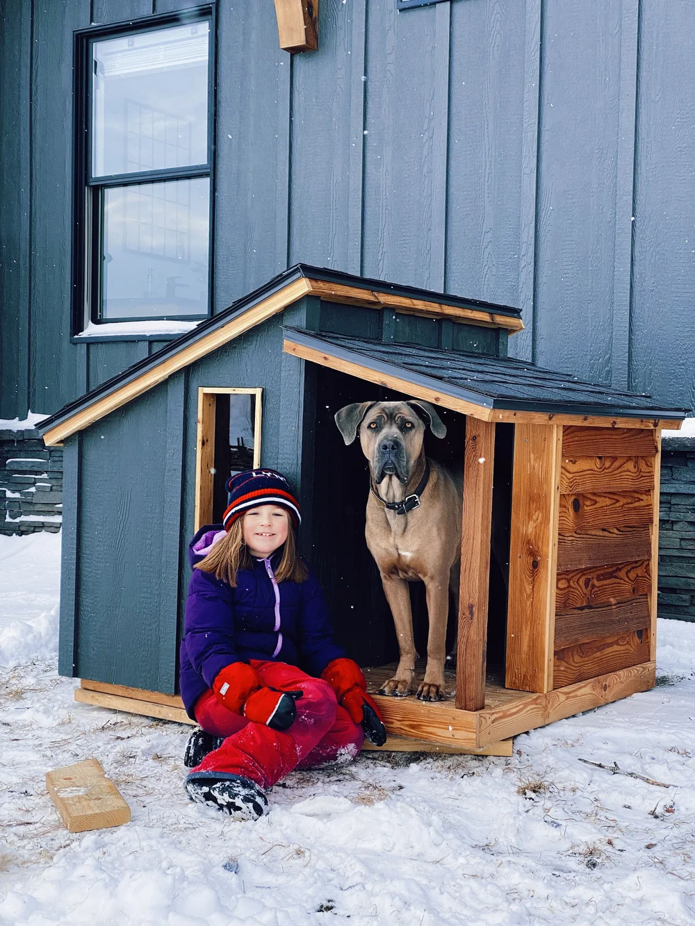 DIY Insulated Dog House Plans with Porch | Indoor & Outdoor PDF ...
