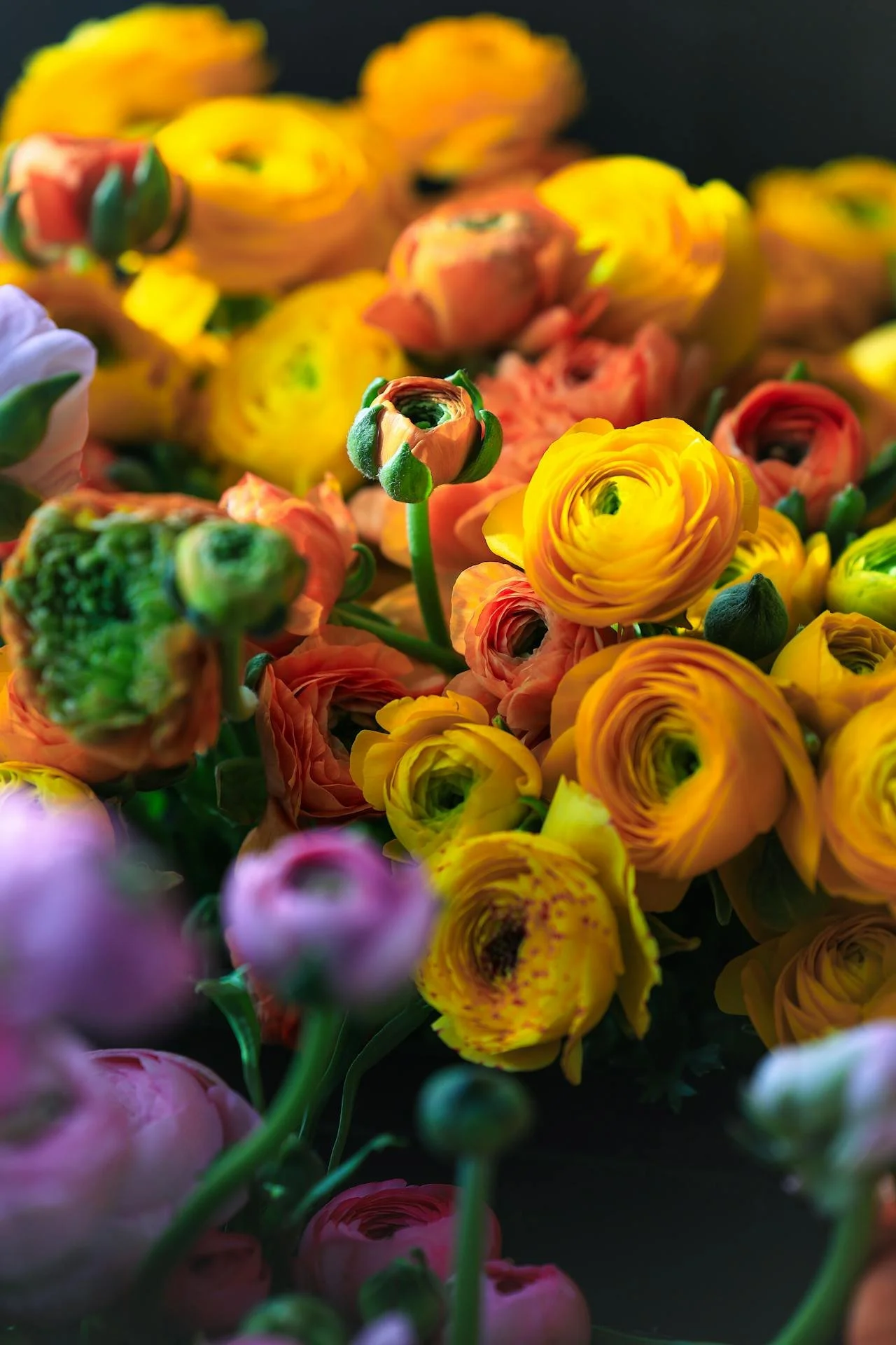 BLOOM & SONG - Hong Kong's finest luxury florist - 花店｜送花｜訂花