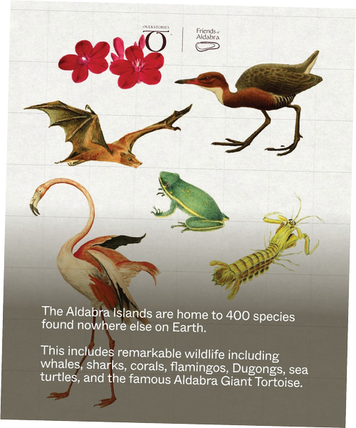 About Aldabra — Friends of Aldabra