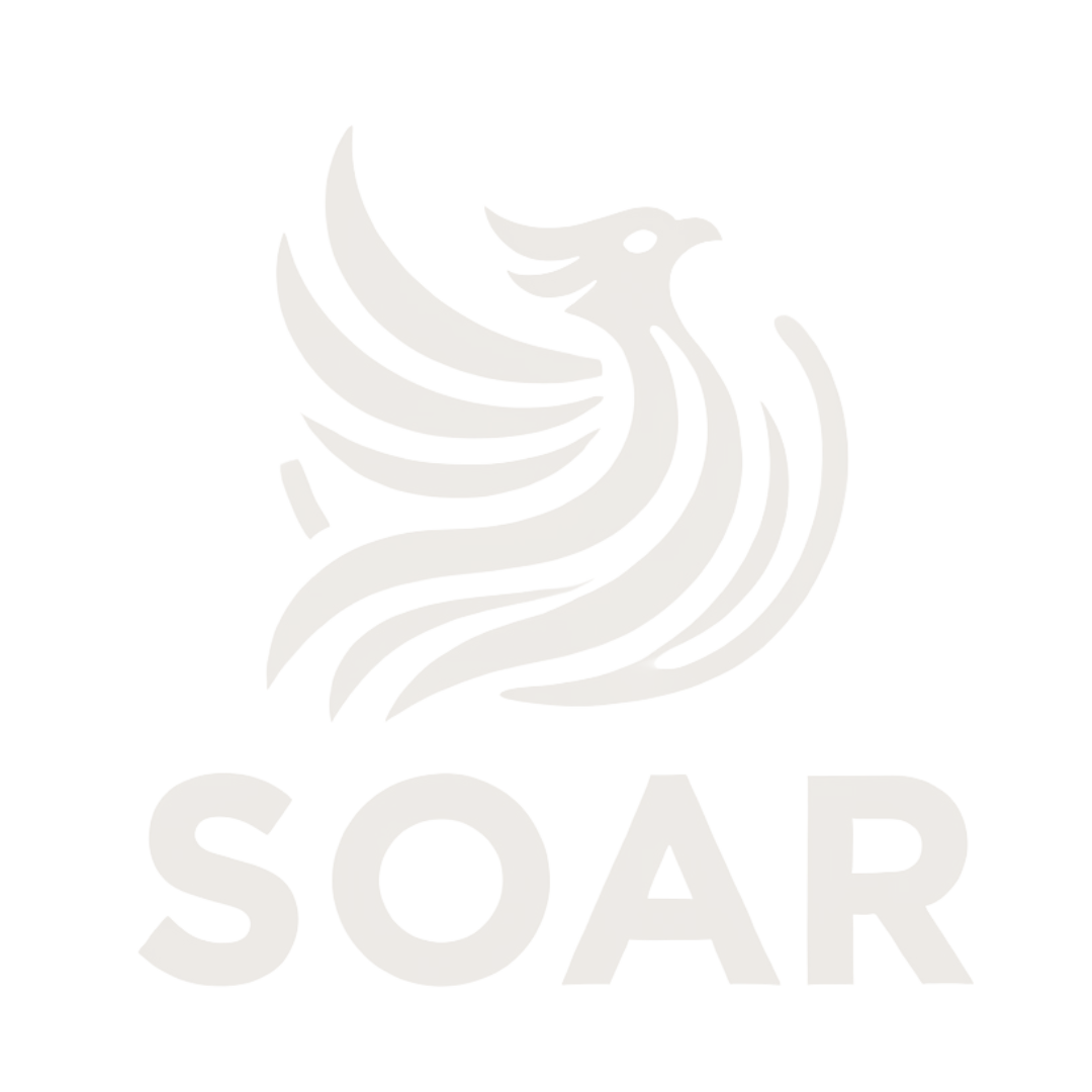 Sex Offenders for Accountability and Recovery SOAR