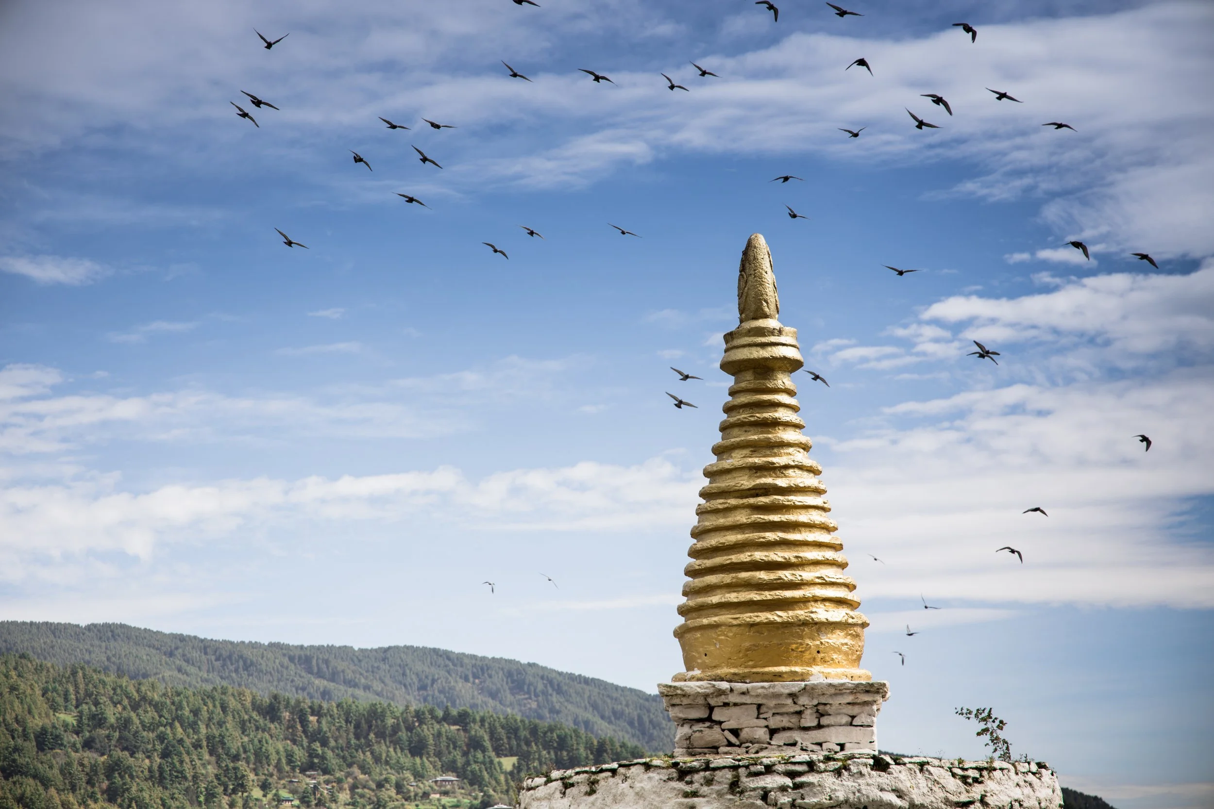 News + Articles — Buddhist Prison Ministry