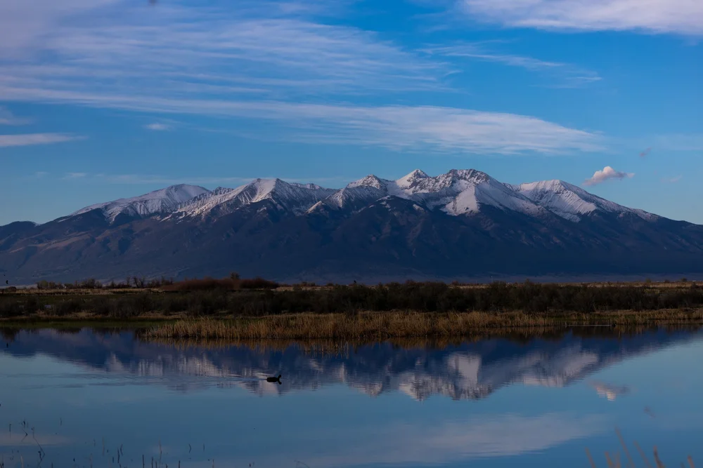 12districtattorney.co